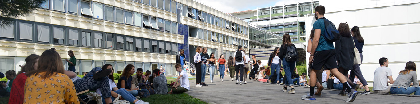 Découvrir : l’université, c’est quoi ? | Université Rennes 2
